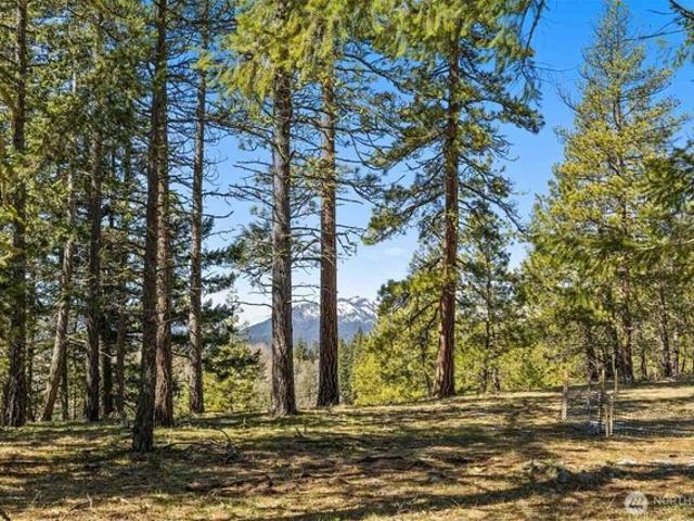 36 Wanawish Loop Lot 36, Cle Elum, WA 98922