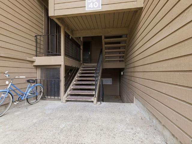 36 Watertree Drive