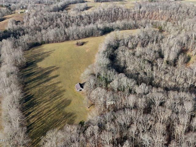 36 AC Rainbow Trout Road