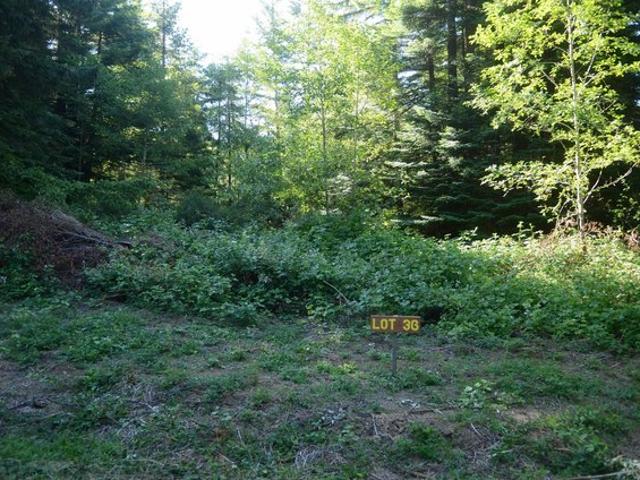 36 Bell Hole Loop, Crescent City, CA 95531