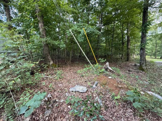 36 Buck Creek Circle