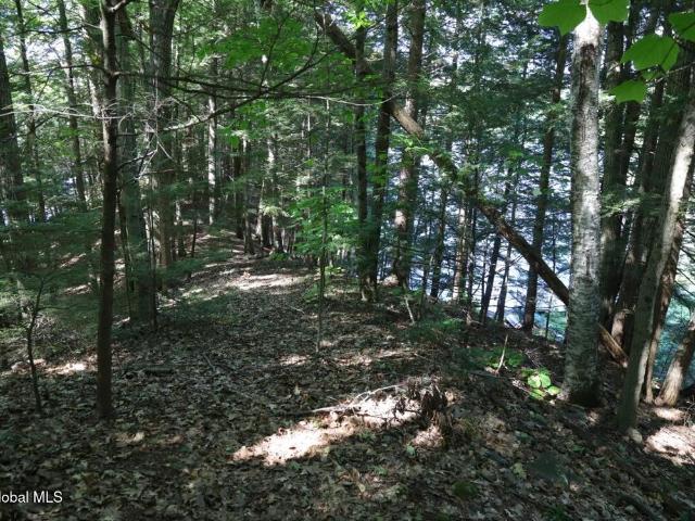 36 Fuller Dr, Unit PRVT, Corinth, NY 12822 | MLS #202610