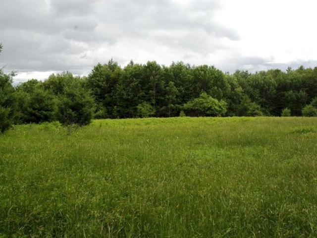 36 Jacob Ln, Starks, ME 04911