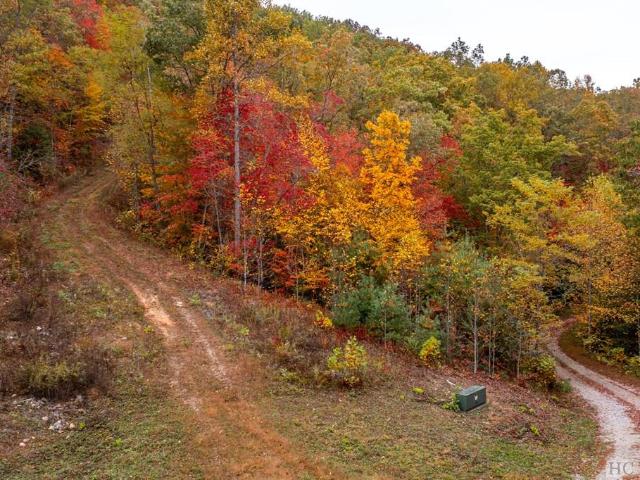 36 Lowland Glade