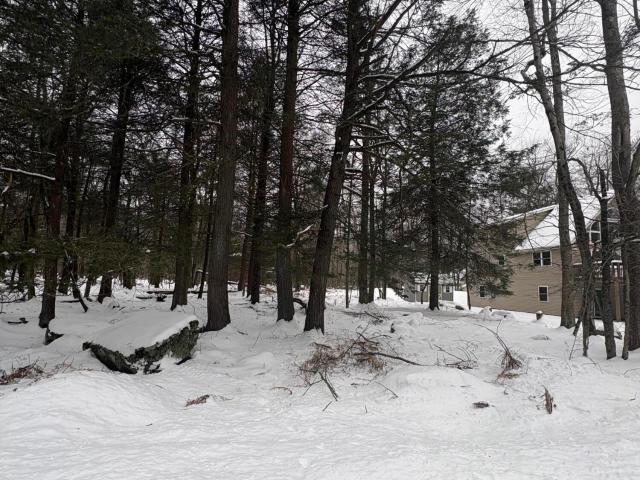36 Old Silver mine Trail