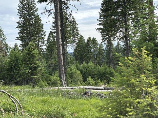 36XX Sheridan Rd Lot A, Republic, WA 99166