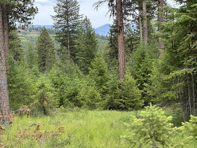 36XX Sheridan Rd Lot E, Republic, WA 99166