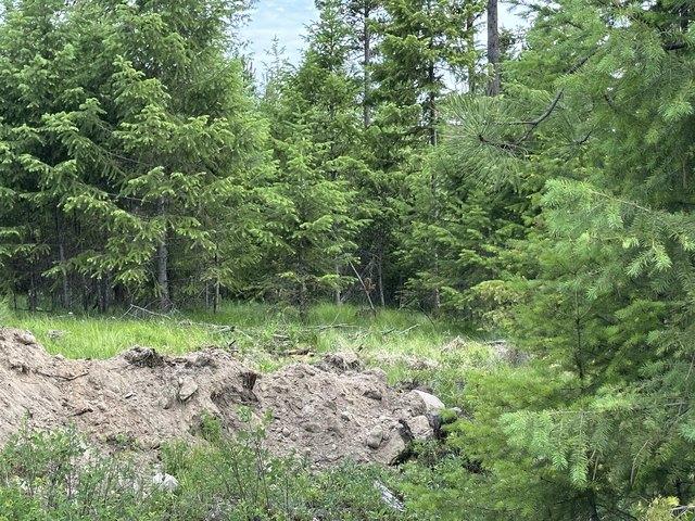 36XX Sheridan Rd Lot F, Republic, WA 99166