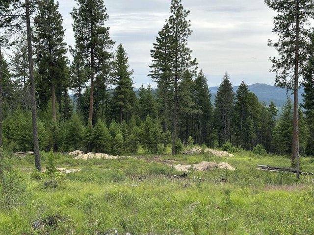 36XX Sheridan Rd Lot P, Republic, WA 99166