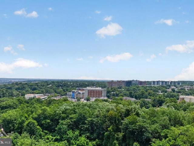 3705 S George Mason Drive # 1407 S