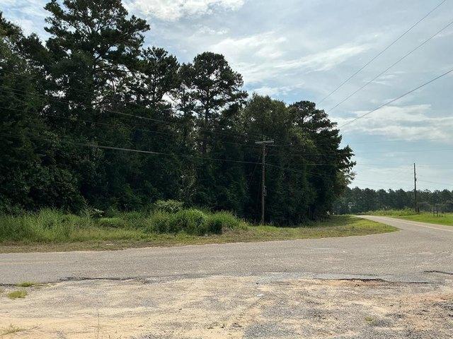 37000 Straughn School Rd, Dozier, AL 36028