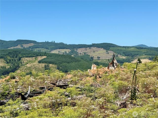3700 Little Kalama River Road # 6