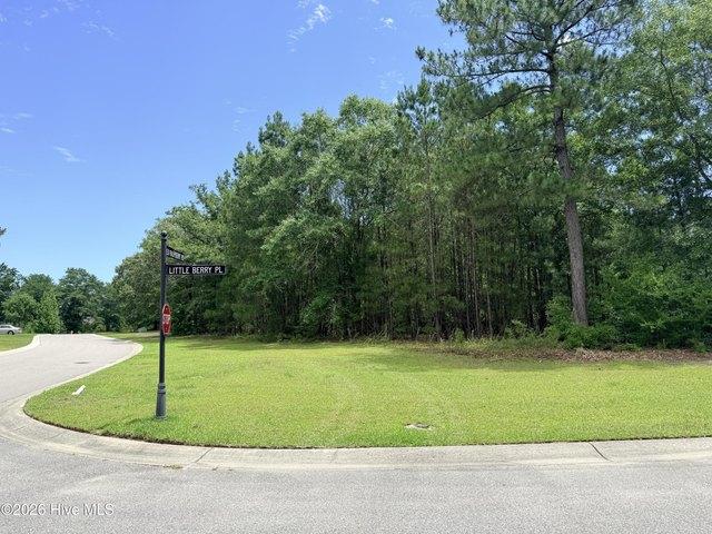 3702 Little Berry Pl NE Lot 25, Leland, NC 28451