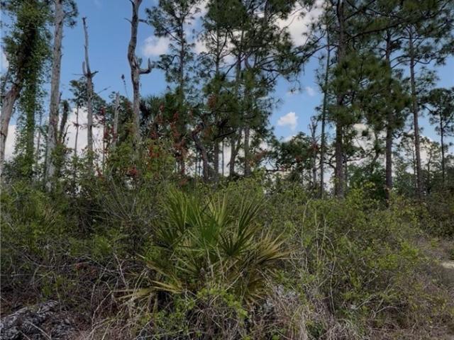 3703 E 7th St, Lehigh Acres, FL 33972 | MLS #2026009