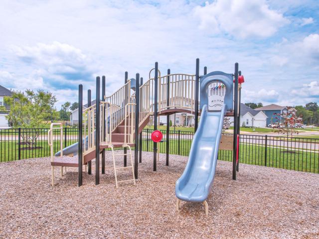 3703 Wiregrass Court