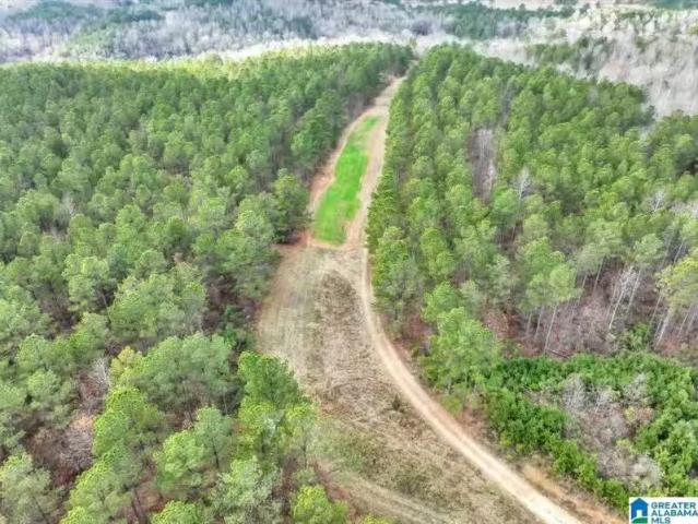 370 COUNTY ROAD 77 # 1, CULLMAN, AL 35057 Vacant Land For Sale.