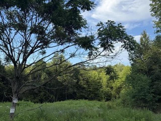 370 Carrera Ln, Granville, NY 12832