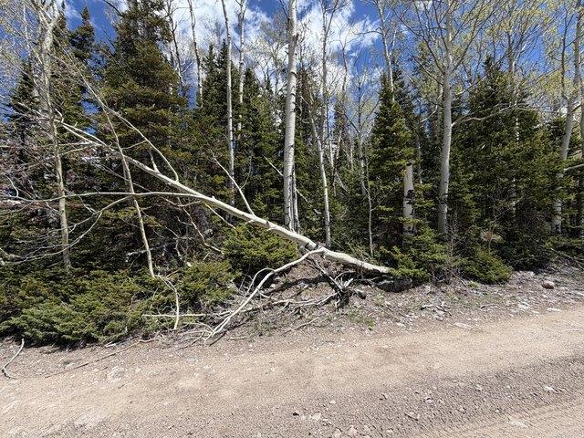 370 N Arrowleaf Dr, Brian Head, UT 84719