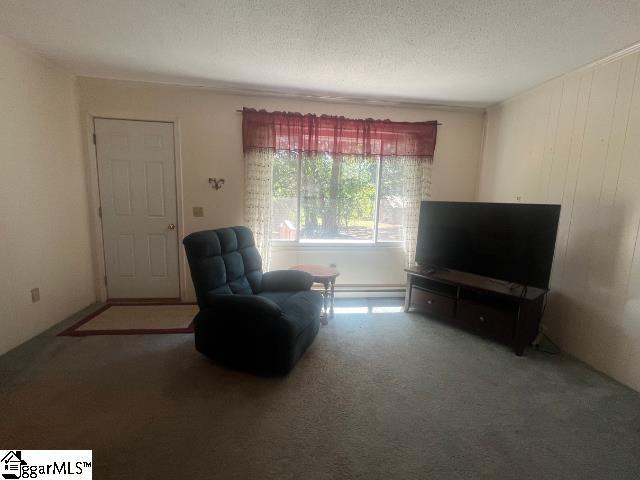 3715 South Carolina 24 Highway