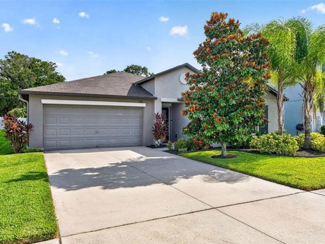 3716 Cat Mint St, Tampa, FL 33619