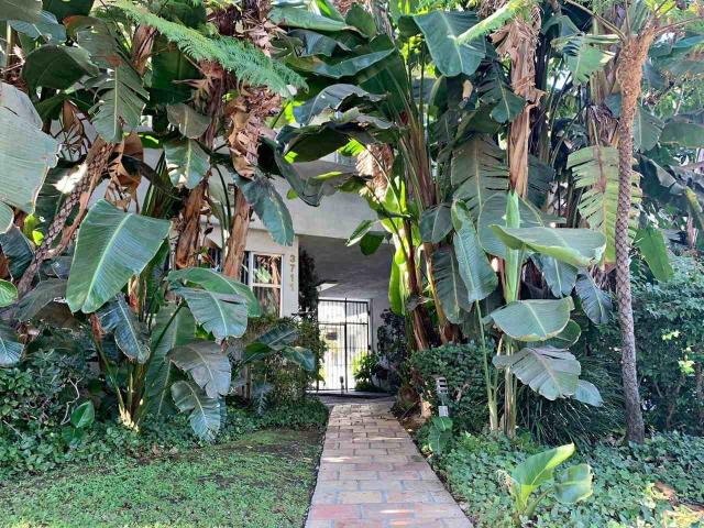 3711 Mentone Ave 1 Bedroom Apartment for Rent at 3711 Mentone Ave, Los Angeles, CA 90034 Palms