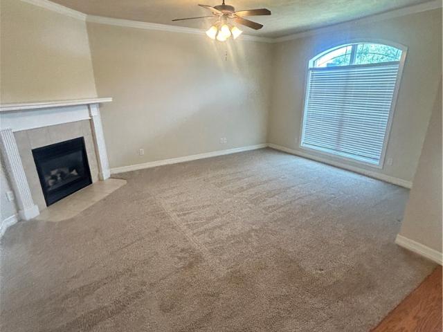 3712 Essen Loop