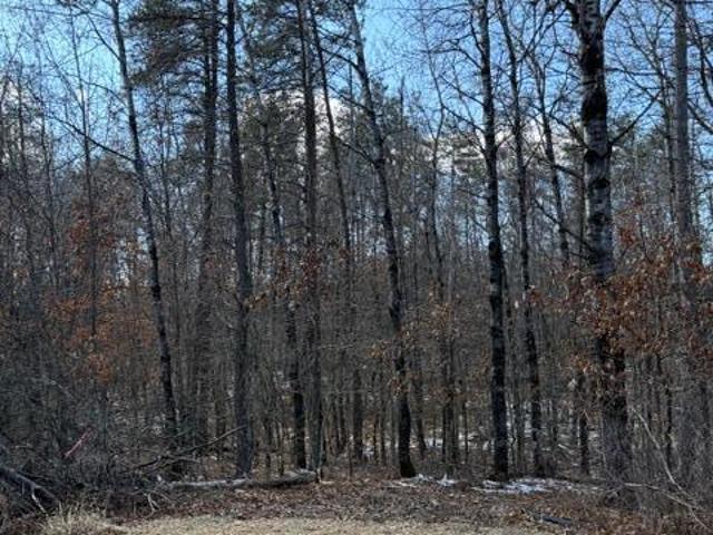 3713 Bay Dr, Danbury, WI 54830 | MLS #7051 | Compass