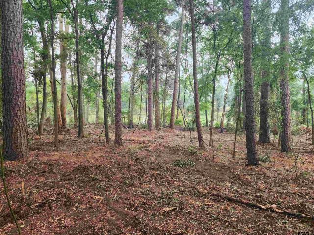 371 Cr 4152 Pittsburg, TX 75686 | MLS #25016 | Compass