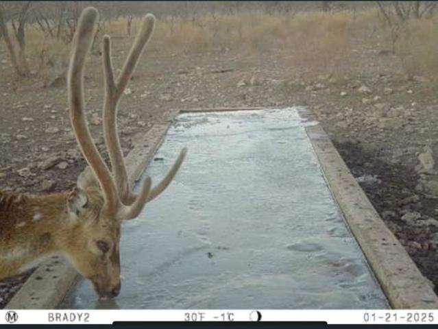 371 Axis Court