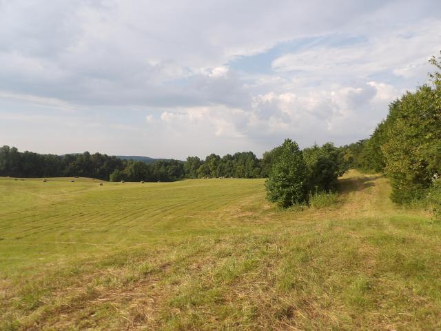371 Dug Road