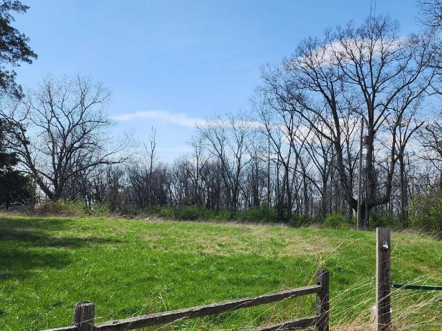 371 Espyville Road N