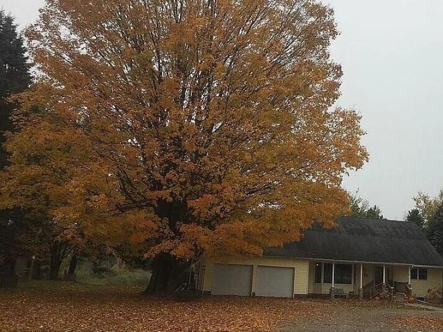 371 N Stiles Road