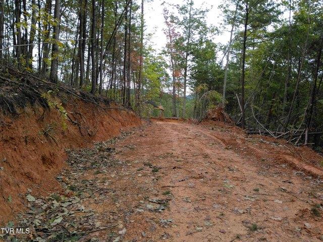 371 Pressmens Home Rd, Rogersville, TN 37857