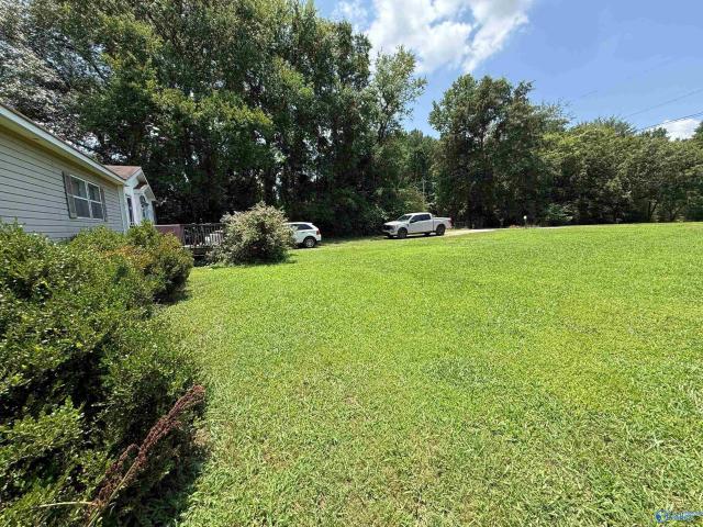 371 Will Holt Road