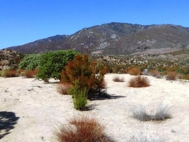 37245 Old Forest Rd, Anza, CA 92539 | MLS #PTP2602