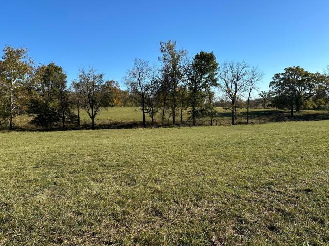 3725 Cynthiana Road
