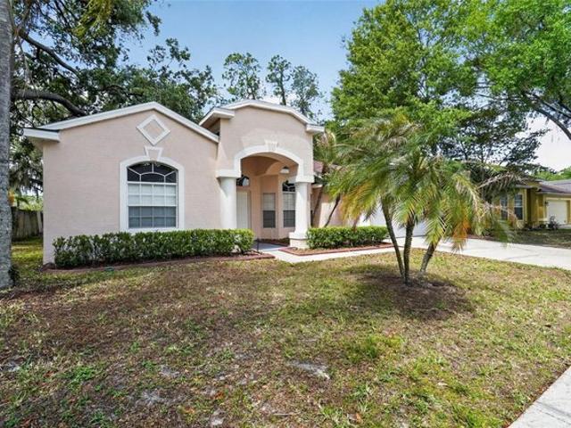 3725 Hollow Wood Dr, Valrico, FL 33596