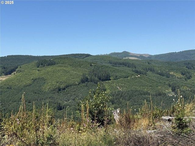 3725 Little Kalama River Rd, Woodland, WA 98674