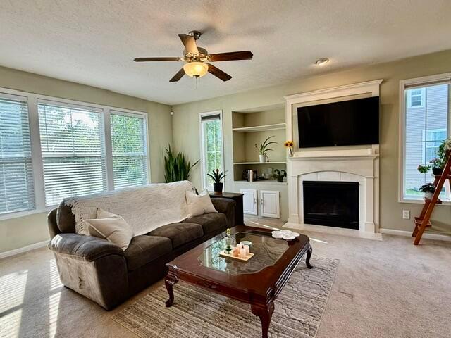 3725 Shearwater Lane