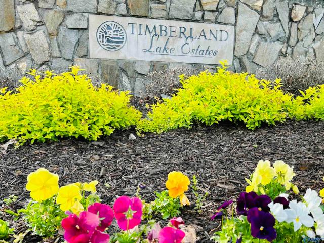 3725 Timberlake Court