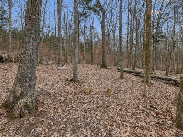 3726 Benders Ferry Rd, Mount Juliet, TN 37122 | MLS #3136