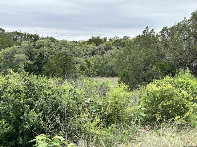 3726 Summer Breeze Ln Lot 4, San Antonio, TX 78253