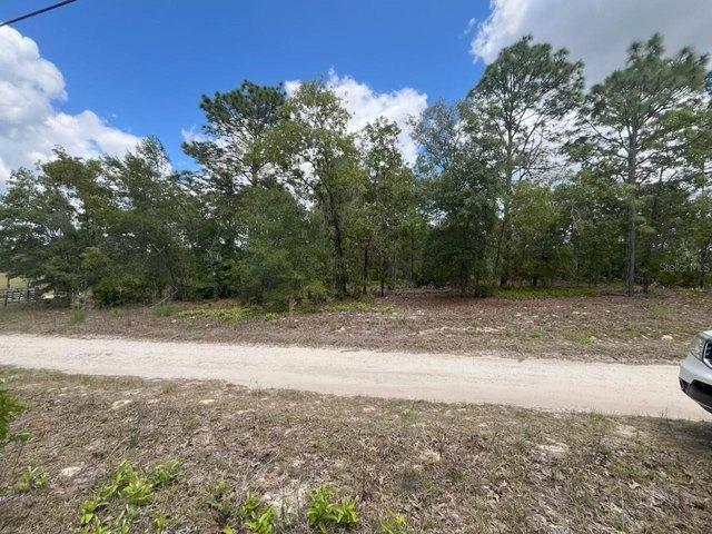 3726 W Spoon Wood Ct, Dunnellon, FL 34433