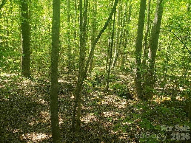 3727 Mount Beulah Rd Unit 5, Sherrills Ford, NC 28673