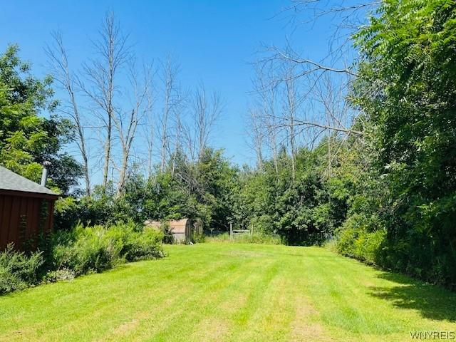 3727 Wilson Youngstown Road # 1