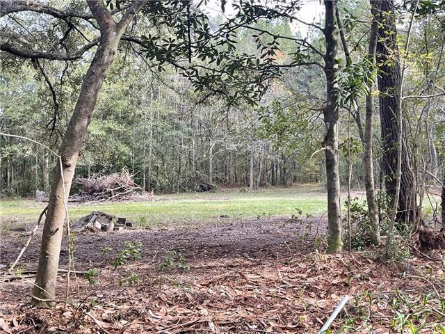 37285 Dummyline Road