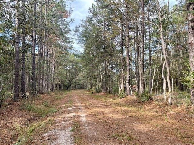 37285 Dummyline Rd Lot 13, Pearl River, LA 70452