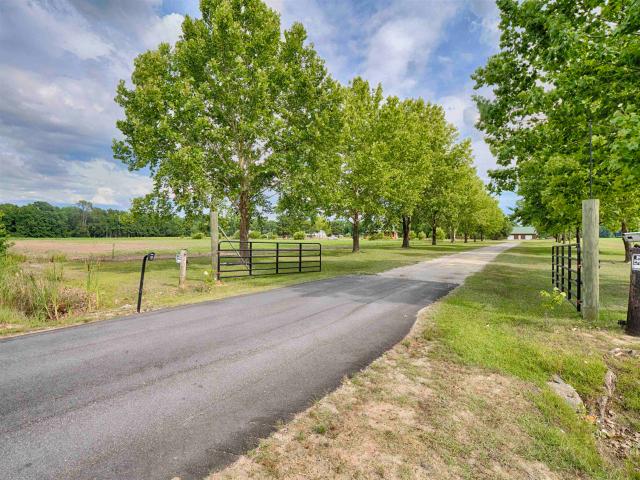 3728 Tuberville Hwy