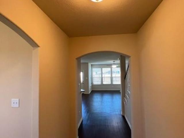 3729 Caladium Lane