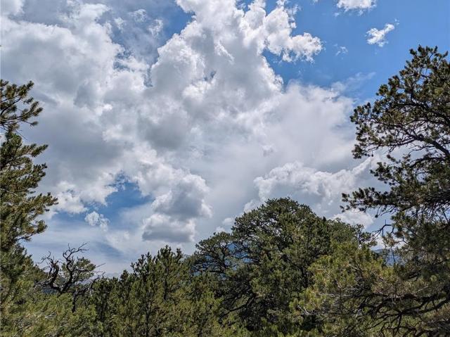 3729 Enchanted Way
